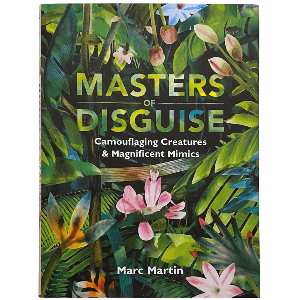 Our Favorite Springtime Picture Books – Imaginary Pages